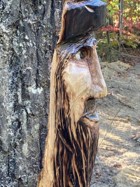 Faces in Trees | Made in Papa's Woodshop
